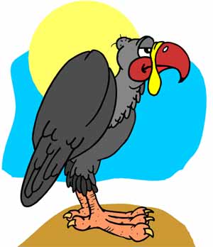 Buzzard | Bat | Bumble Bee | Cleveland Women